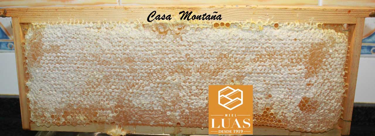 Profesionales - Luas Miel